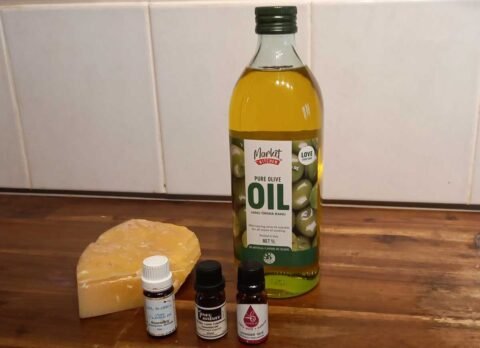 How to make your own pruning paste : Kat's Garden